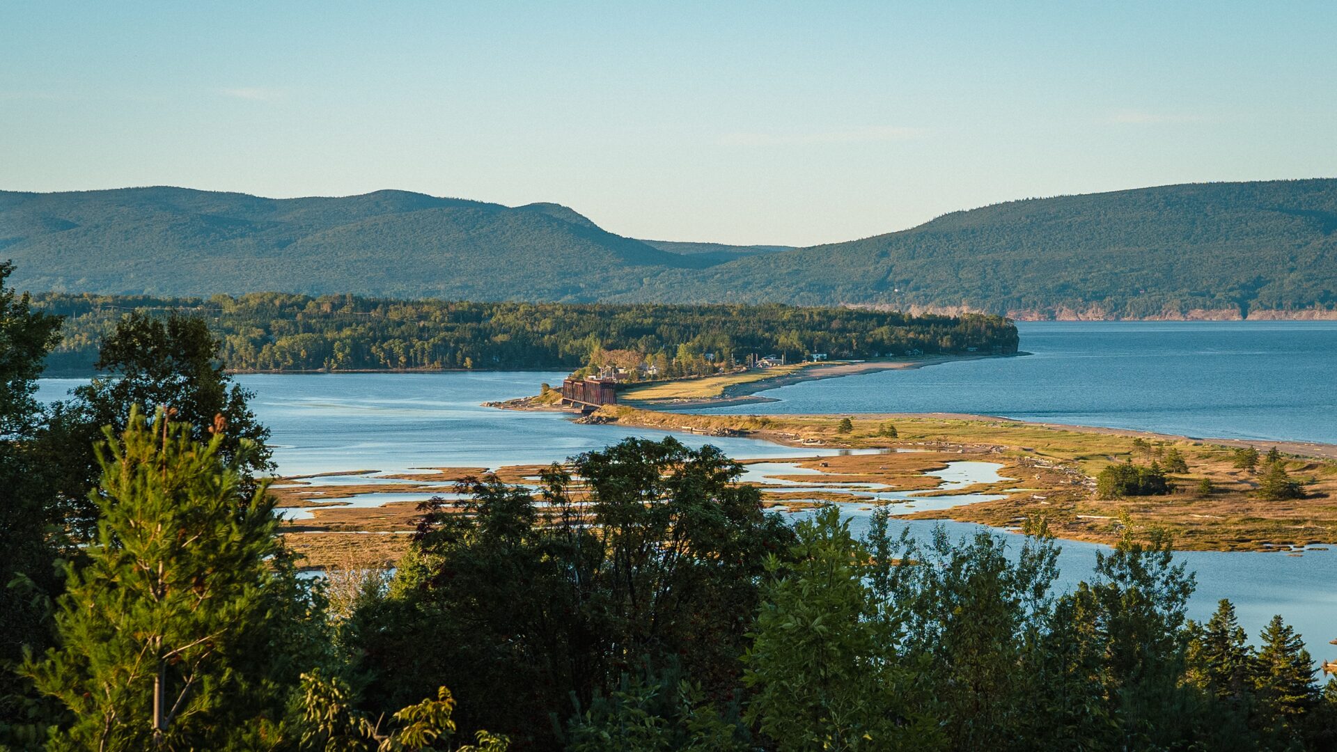 Devenez membre et propulsez votre entreprise | FCCQ