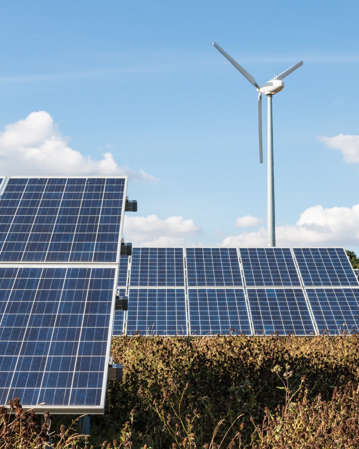 Transformation Électrique Canada 2024 - FCCQ